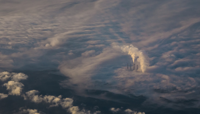 Climate Positive Strategies And Leadership | Ocean Material®